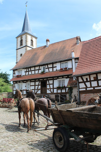 Vie rurale alsacienne : Visite de la Maison Rurale de l'Outre-Forêt ...